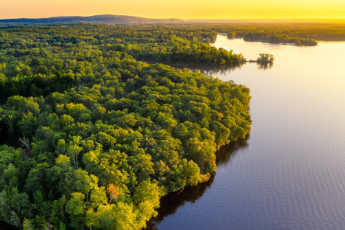 The Official Website of Arison Investments Ltd - Arison Investments